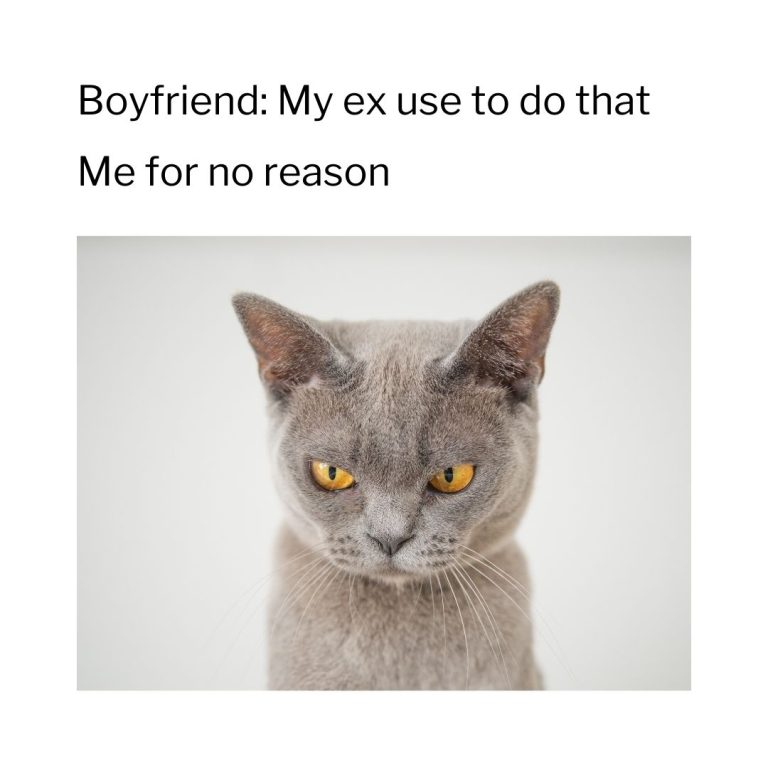 The Top ‍10 Funniest Red Flag Memes That Will Make You Swipe Left!